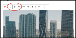 WordPressテーマのSnowMonkeyでWEBサイト制作をする方法 – じゃんきーブログ